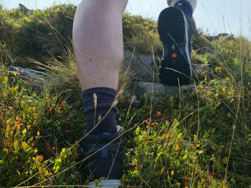 Review: Decathlon Quechua Hiking Boots MH100: Budget Boots, BIG Ambition!